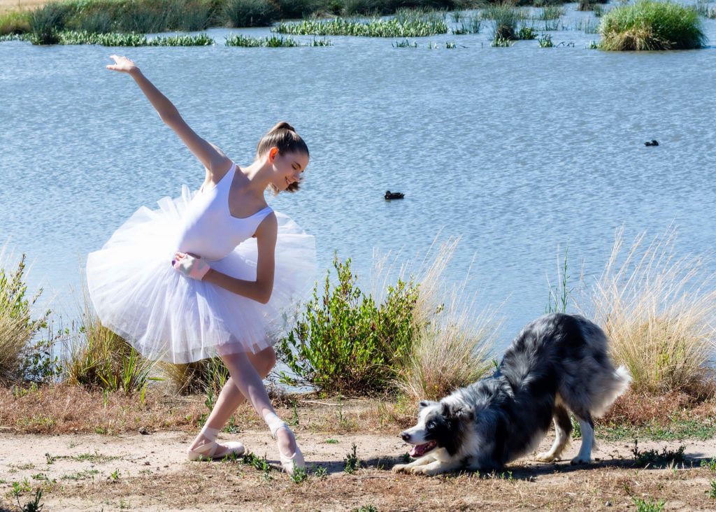 Dogdancing – Sport und Spaß für unsere Hunde - BerufungTier.de -Tierblog
